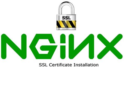Настройка веб-сервера Nginx - ИТ Проффи