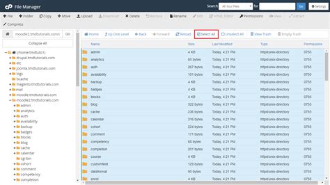 How To Upgrade Moodle Tmdhosting