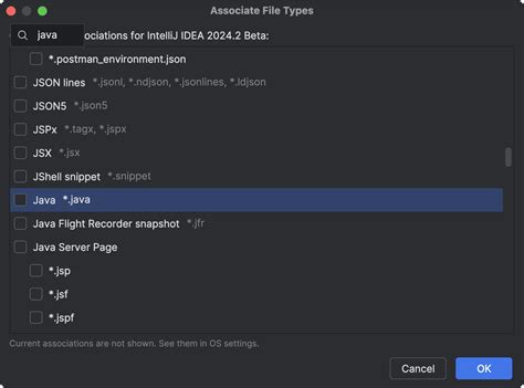 文件类型关联 intellij idea 文档