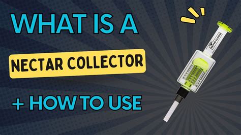 What Is A Nectar Collector Types And How To Use One