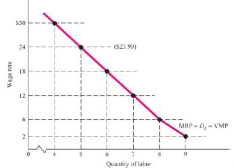Labor Force Demand And Wage Determination Words Essay Example