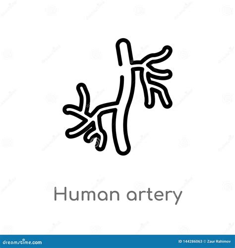 Outline Human Artery Vector Icon Isolated Black Simple Line Element Illustration From Human