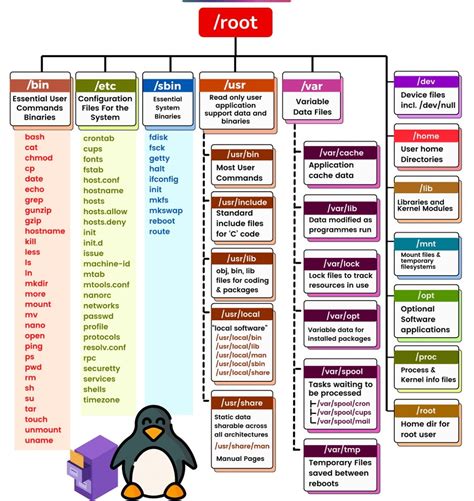 Learn About The Linux File System Tree Structure Selvanayaki Gurusamy Posted On The Topic