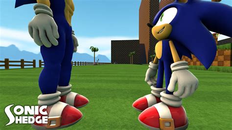 Sonic Meets Sonic Full Set 2017 By Stonehedgeart