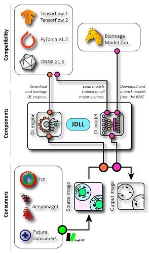 Introducing The Java Deep Learning Library JDLL Announcements