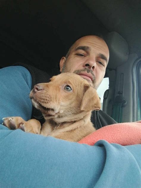 Save Хайде да намерим дом за едно съкровище Здравейте знаем че се грижите за много