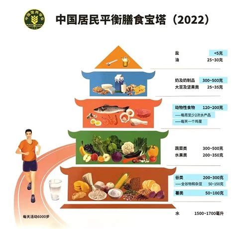 2024中国居民膳食指南：八大变化详解