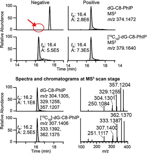 Extracted Ion Chromatograms Eic At The Ms² Scan Stage Of Human