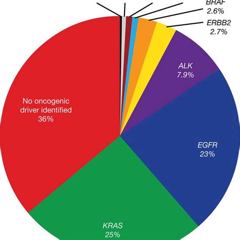 Egfr Mutation Testing Algorithm Wt Wild Type Download Scientific Diagram