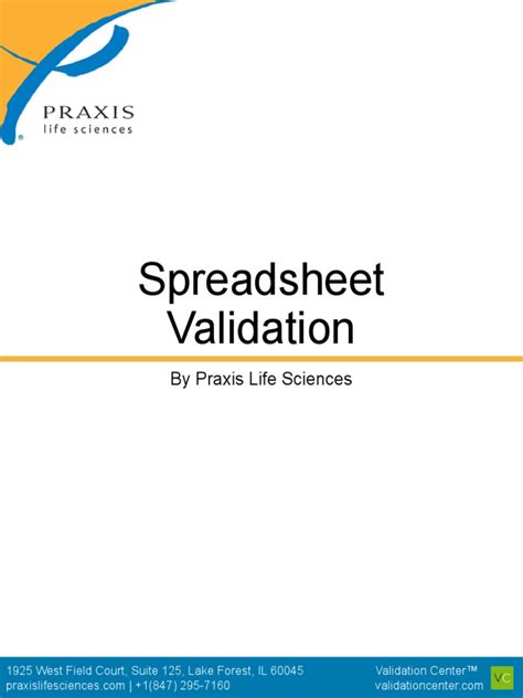 praxis spreadsheet validation pdf verification and validation