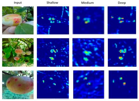 Disease Detection In Plum Using Convolutional Neural Network Under True