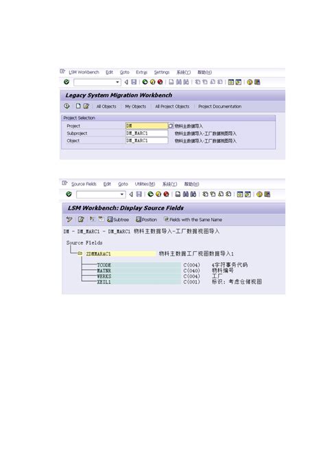 lsmw sap 扩工厂视图操作步骤 mm50批量扩充视图资源 csdn下载