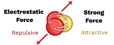 Forces In The Nucleus Labster