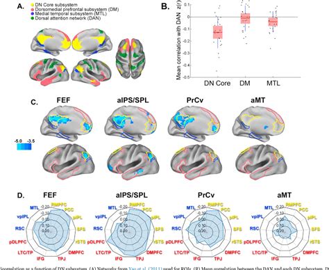 Figure 1 From Interactions Between The Default Network And Dorsal