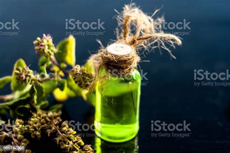 Ayuvedic 허브 거룩한 바 실 또는 Tulsi 많은 Ayuvedic 의약품 및 동종 요법에 사용 되는 나무 표면에 투명 한 병에 그것의 추출된 에센스와 Ocimum