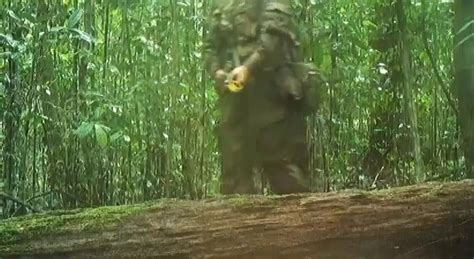 Video Defence Infrastructure Organisation Dio On Linkedin