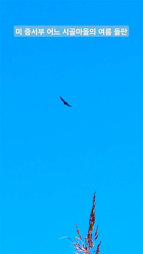 미중서부 시골마을 여름 들녘 Youtube