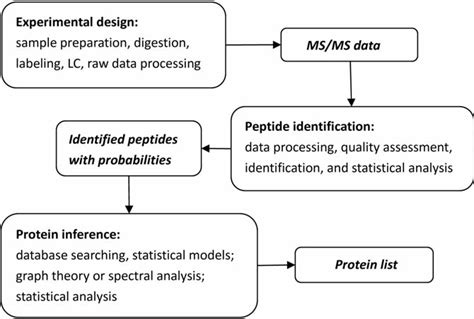 Protein Inference Framework Download Scientific Diagram