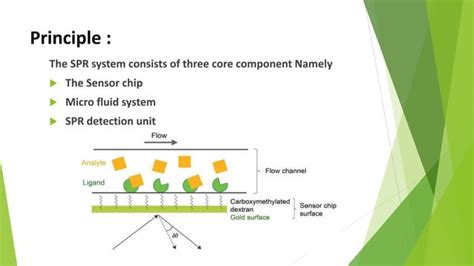 Surface Plasmon Resonance Spr Pptx