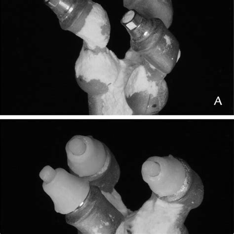 Airborne Particle Abraded Specimens A Without Protector Caps And