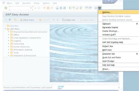 How To Configure Sap To Enable Sap Advanced Commands Community