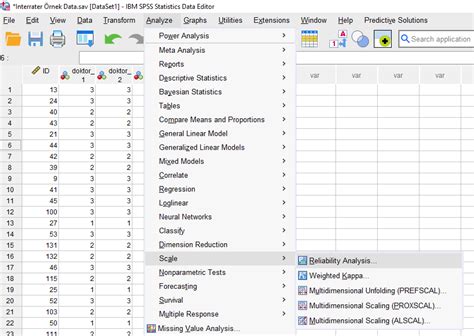 Spss Ile Fleiss Kappa Analizi Resimli Spss Yardimi İstatİstİk Merkezİ