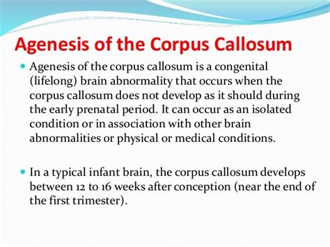 Agenesis Of The Corpus Callosum Acc