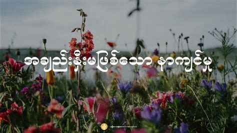 နေ့စဉ်ခွန်အား ၂၀၂၅ ခုနှစ်၊ ဇွန်လ ၆ ရက် Youtube