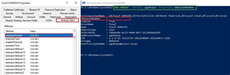 hiding values of active directory attributes yusuf gokkaya