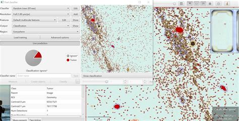 Qupath Using An Object Classifier On Detections From A Pixel Classifier