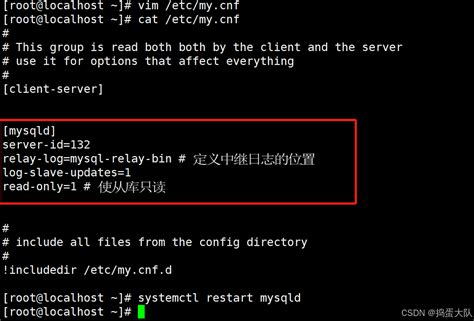 构建mysql数据库集群：一主两从复制实战 数据库一主两从 csdn博客