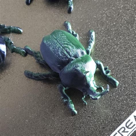 From Nature To Home I Make The Beetle Shell This Weekend R3dprinting