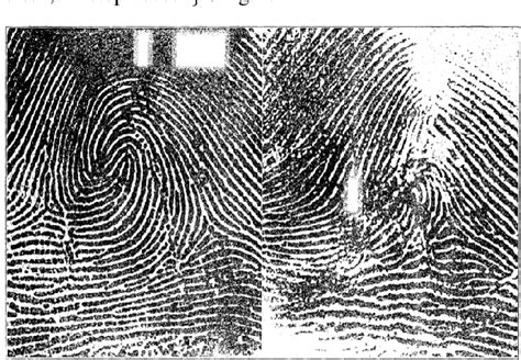 Figure 2 From Improving Fingerprint Alteration Detection Semantic Scholar