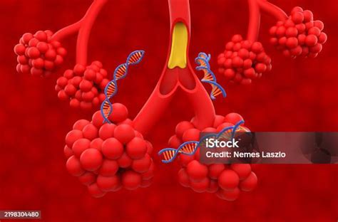 낭포성 섬유증 의 유전자 치료 아이소 메트릭보기 3d 그림 0명에 대한 스톡 사진 및 기타 이미지 0명 감기와 독감 건강 진단 Istock