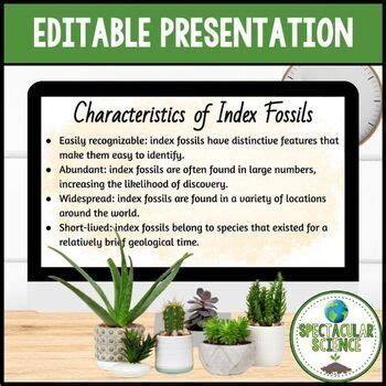 Index Fossils Presentation Notes By Spectacular Science TPT