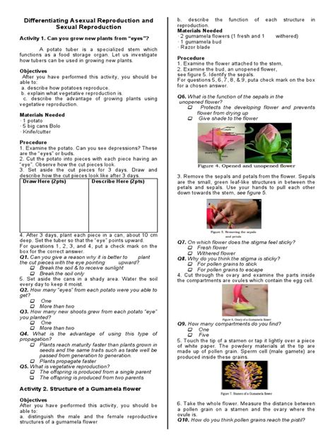 Exploring Plant Reproduction Through Potatoes And Flowers Pdf Flowers Biological Processes