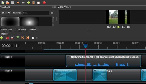 Image Help Why Is It Doing This R Openshot