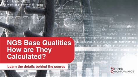 Ngs Bioinformatics Basequality Rnaseq Dnaseq Sequencing Genomics Ecseq Bioinformatics Gmbh