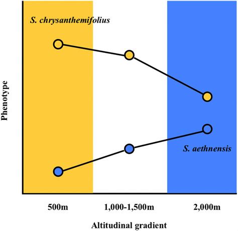 Adaptive Versus Nonadaptive Plasticity This Plot Contrasts The