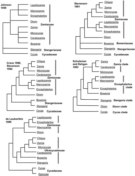 Published Trees From Morphological Analyses Download Scientific Diagram