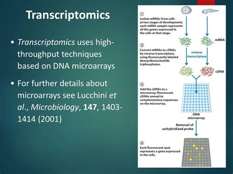 Lecture Fall 2017 Microarray Analysis And Omics Technology Ppt Download