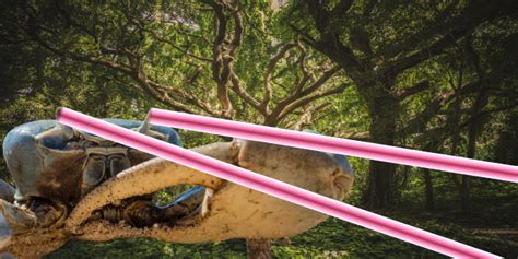 Proof Of Concept And Unofficial Reclaim The Cyberspace By Abygaleiscold