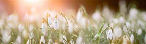 Rheinwerk Computing On Linkedin Using Taskexecutor In Spring