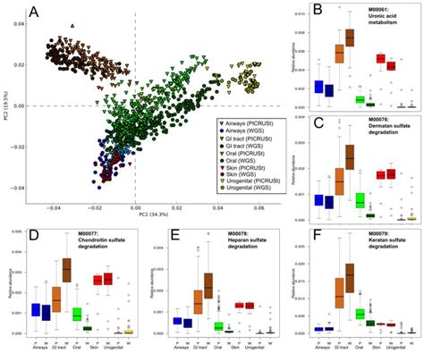 predictive functional profiling of microbial communities using 16s rrna