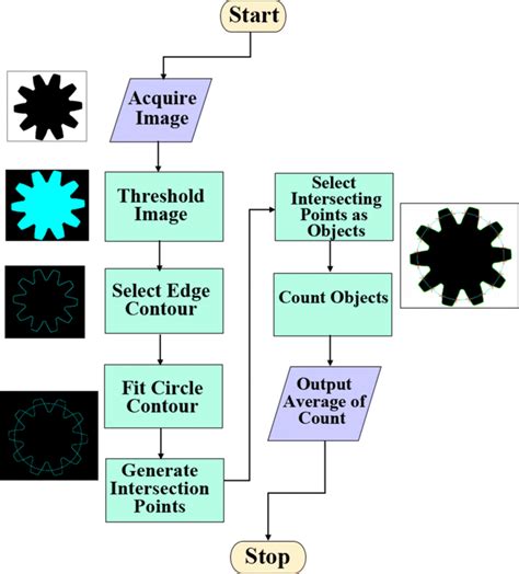Flowchart Of Tooth Number Algorithm Download Scientific Diagram