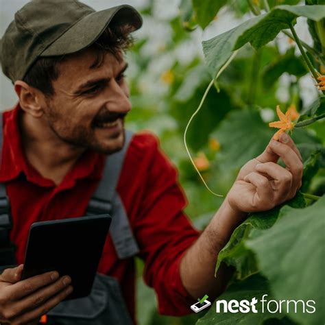 nestforms on linkedin mobileformapp offlinesurveyapp nestforms