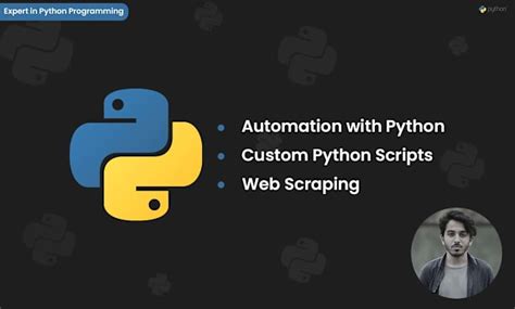 Do python scripting, web scraping and automation tasks by Baser17 | Fiverr