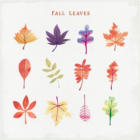 Leaf Shapes Clip Art