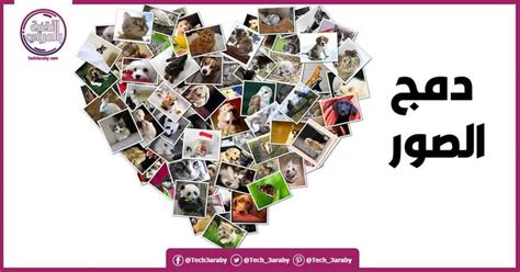 شرح كيفية دمج صورتين بجانب بعض اون لاين مجاناً