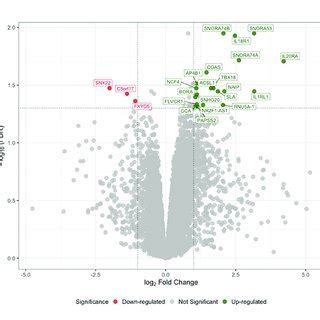 Analysis Of Differential Gene Expression Determined By RNA Sequencing Download Scientific